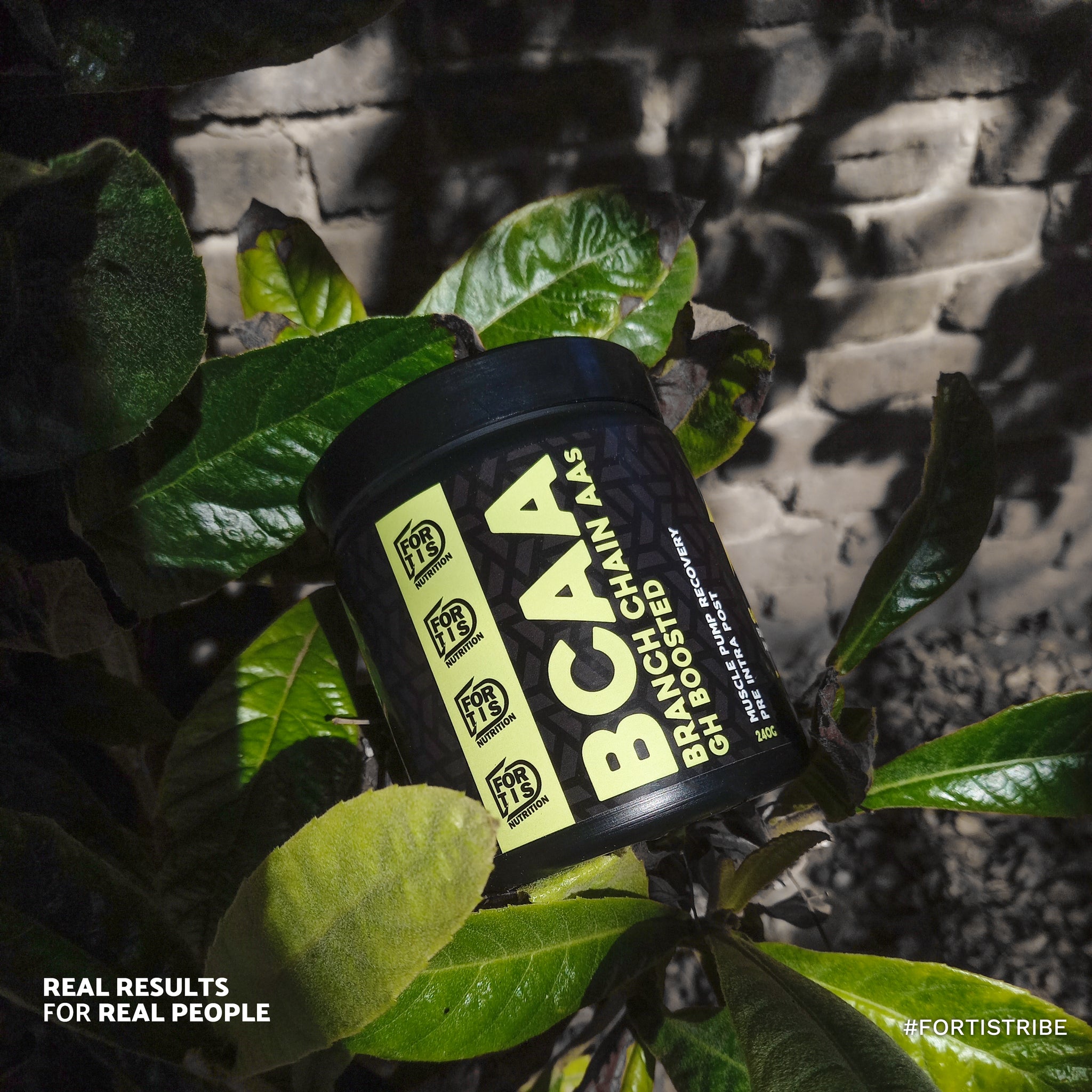 BCAA 3:1:1 240G – Fortis Nutrition