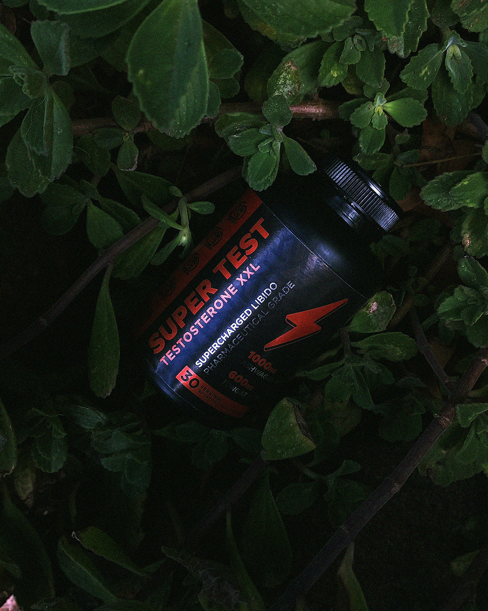 Super Testosterone booster – Fortis Nutrition